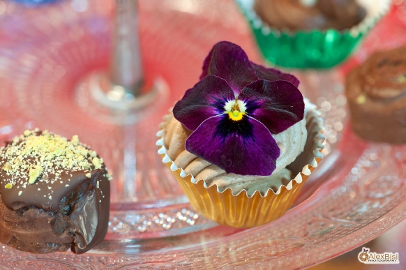 Bomboane din ganache de ciocolata